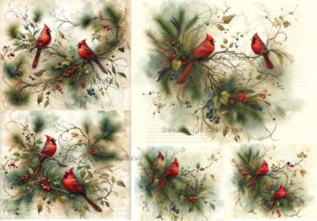 Natural Cardinals A4 Rice Paper Paper for Decoupage Decoupage Creatives ...