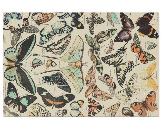 Butterfly Decoupage Tissue Paper Roycycled - Etsy