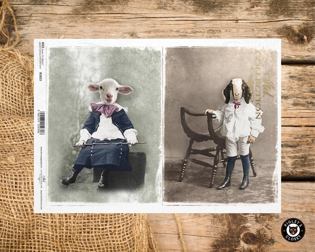 Vintage Sheep & Goat Portraits | A4 Rice Paper | ITD Collection | A4 ...