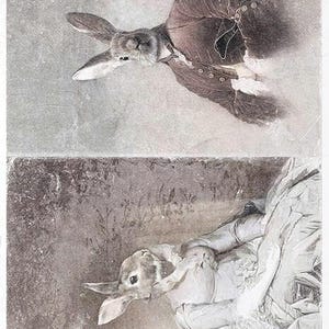 Vintage Rabbit Portraits | A4 Rice Paper | ITD Collection | A4 ...