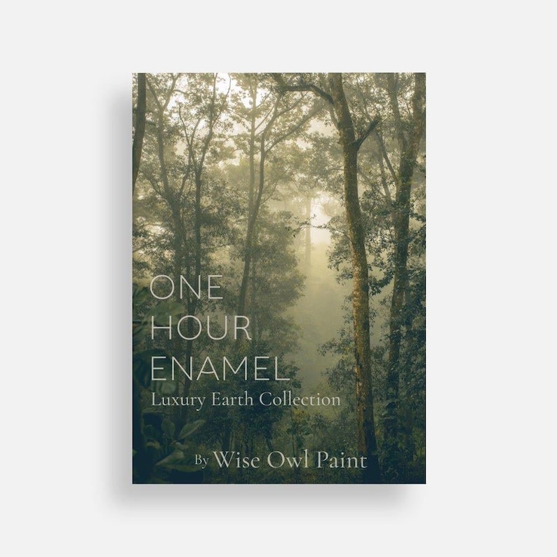 Fauna | One Hour Enamel | Wise Owl | Furniture & Cabinet Paint - Etsy