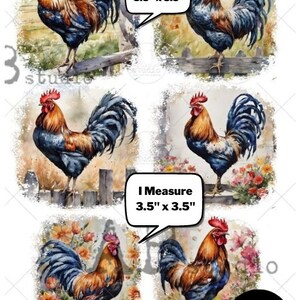 Floral Farmhouse Rooster A4 Rice Paper Paper for Decoupage AB Studios ...