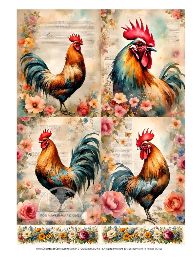 Floral Chickens A4 Rice Paper Paper for Decoupage Decoupage Central ...
