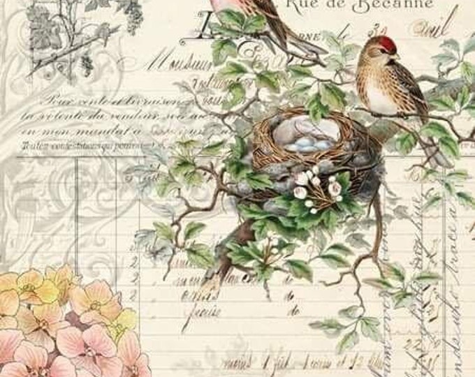 Bird Ephemera 20 X 30 18lb XL Furniture - Etsy