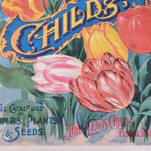 Child's 1897 Fall Catalog | Rice Paper A4 | Calambour | 8.75" X 12.5 ...