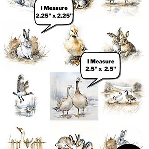 Farm Animal Minis #2 | A4 Rice Paper | Paper for Decoupage | ITD ...