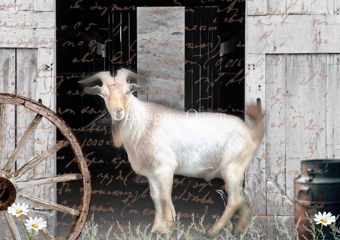 Billy Goat | Rice Paper | Decoupage Queen | Paper for Decoupage ...