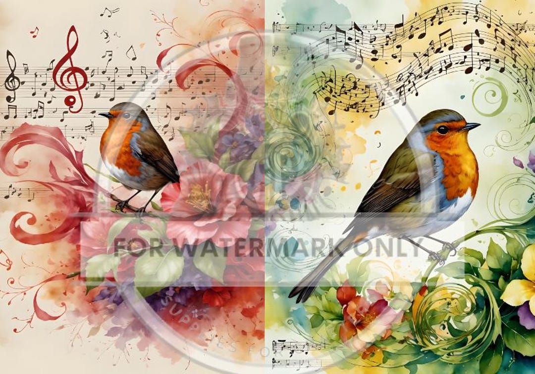 Musical Bird Duo | A4 Rice Paper | Paper for Decoupage | Decoupage Central - Etsy