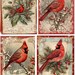 Cardinal Squares A4 Rice Paper Paper for Decoupage - Etsy