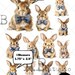 Rabbit With Blue Bow Minis | A4 Rice Paper | Paper for Decoupage | AB ...
