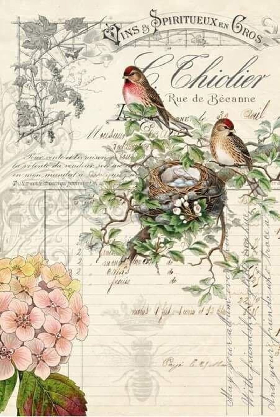 Bird Ephemera 20 X 30 18lb XL Furniture Decoupage Tissue Paper ...