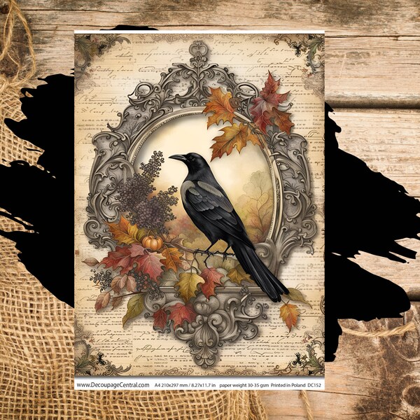 Halloween Rice Paper - Etsy