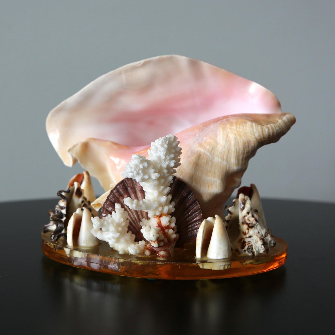 Vintage Conch and Seashell TV Lamp / Night Light on Lucite Base ...
