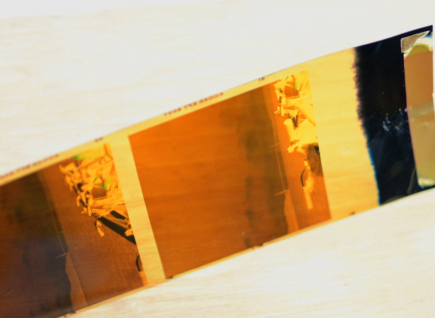 120/220 Color and Black &white Film Processing Send Us Your - Etsy