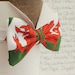 Welsh Flag Bow Tie, Bow Ties for Men, Pre-tied Bow Tie, Red Dragon Bow ...