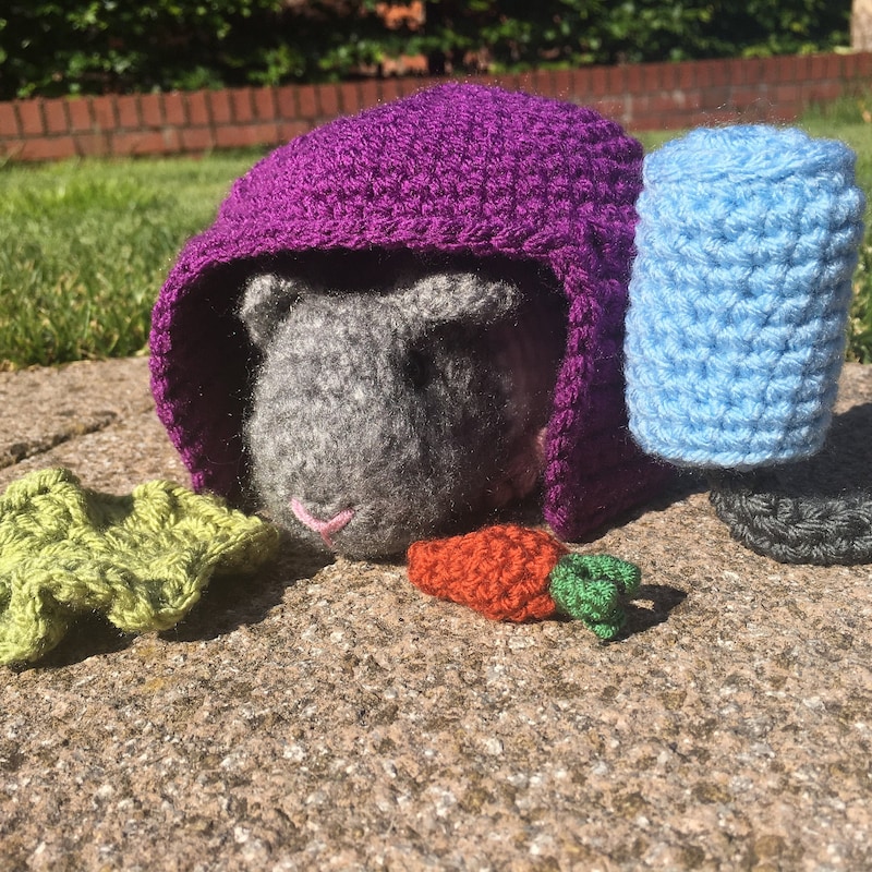 Guinea Pig Soft House - Etsy UK