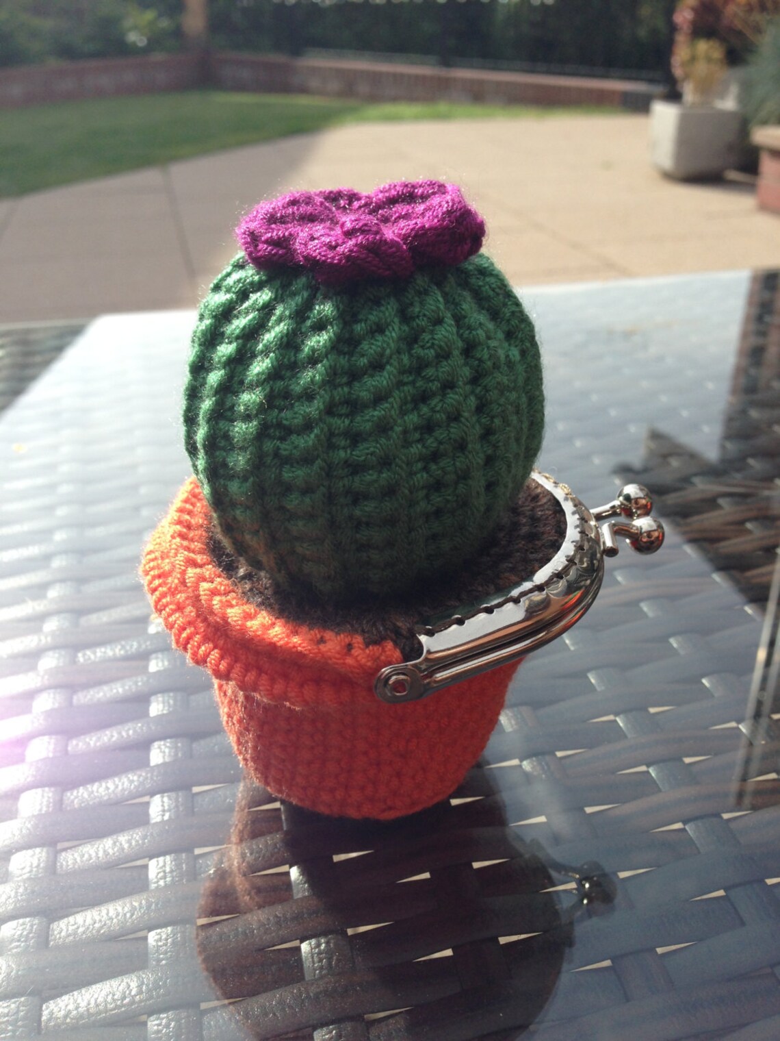 Cactus Coin Purse Crochet Pattern - Etsy