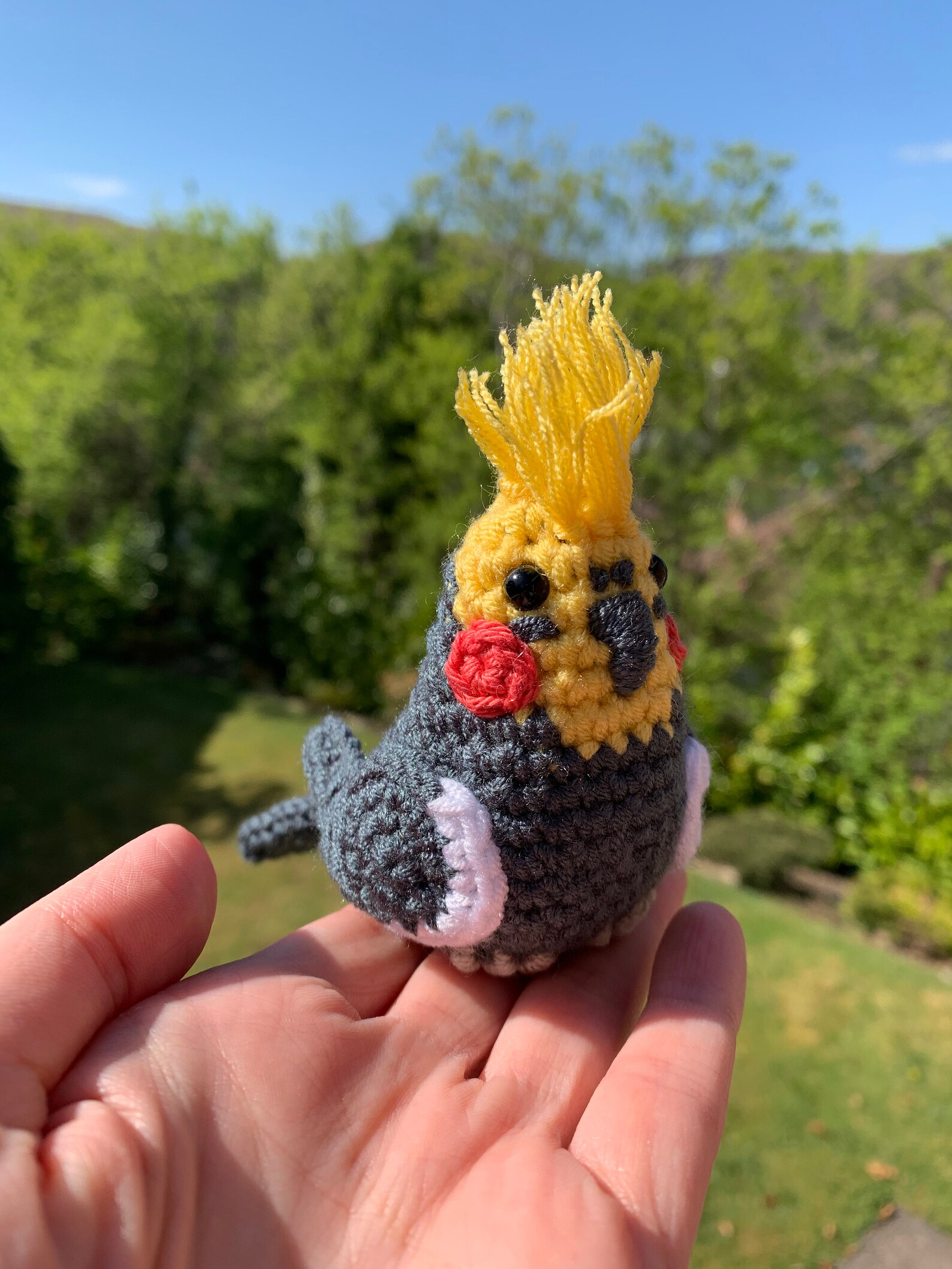 Cockatiel Crochet Pattern - Etsy UK