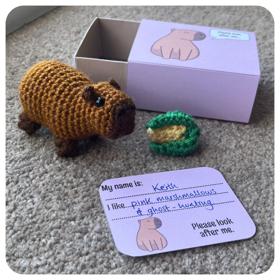 No-sew Matchbox Pet Capybara Crochet Pattern & Printable Box Template ...
