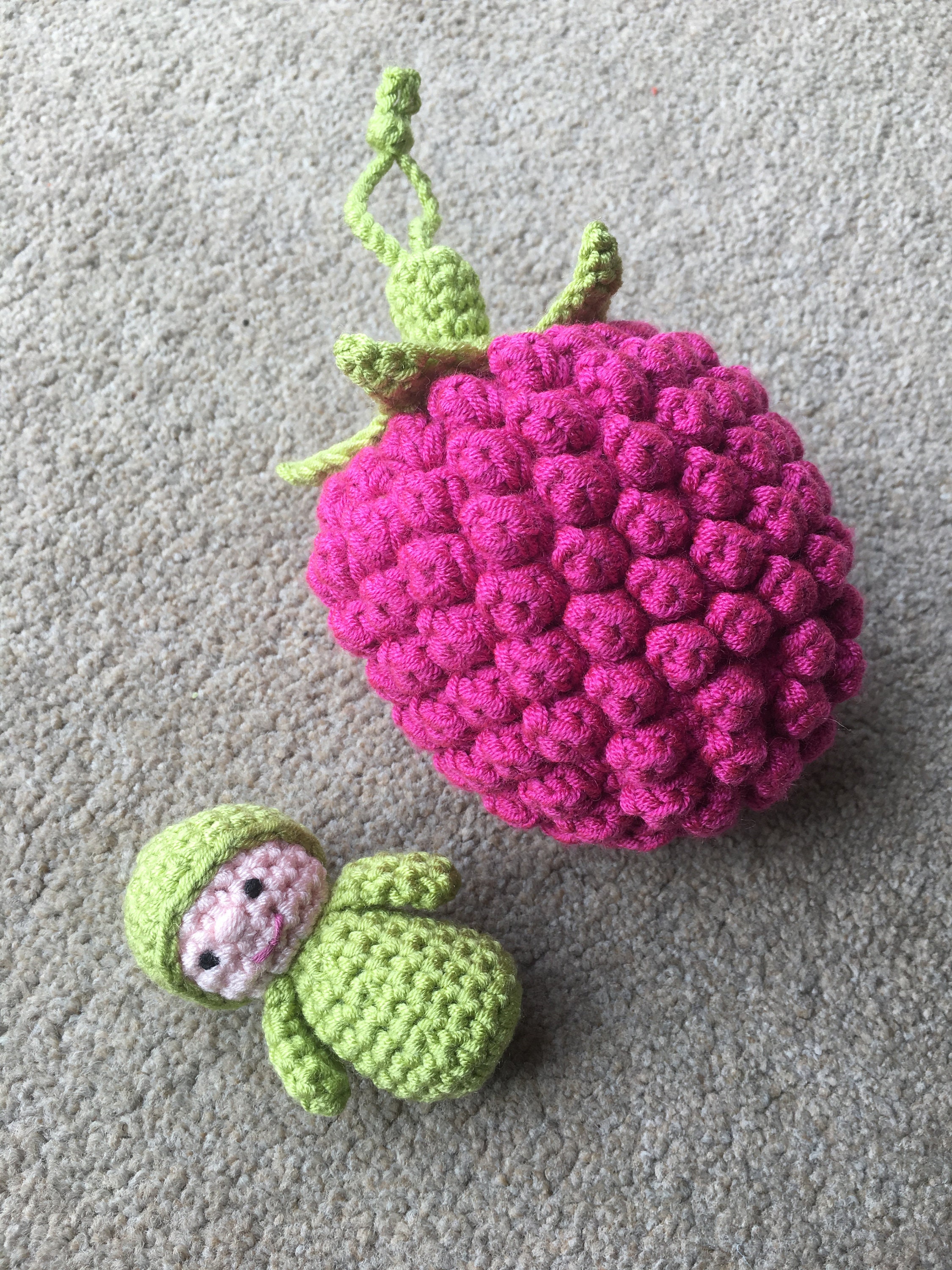 Raspberry Pocket Pal Crochet Pattern | Etsy