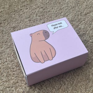 No-sew Matchbox Pet Capybara Crochet Pattern & Printable Box Template ...