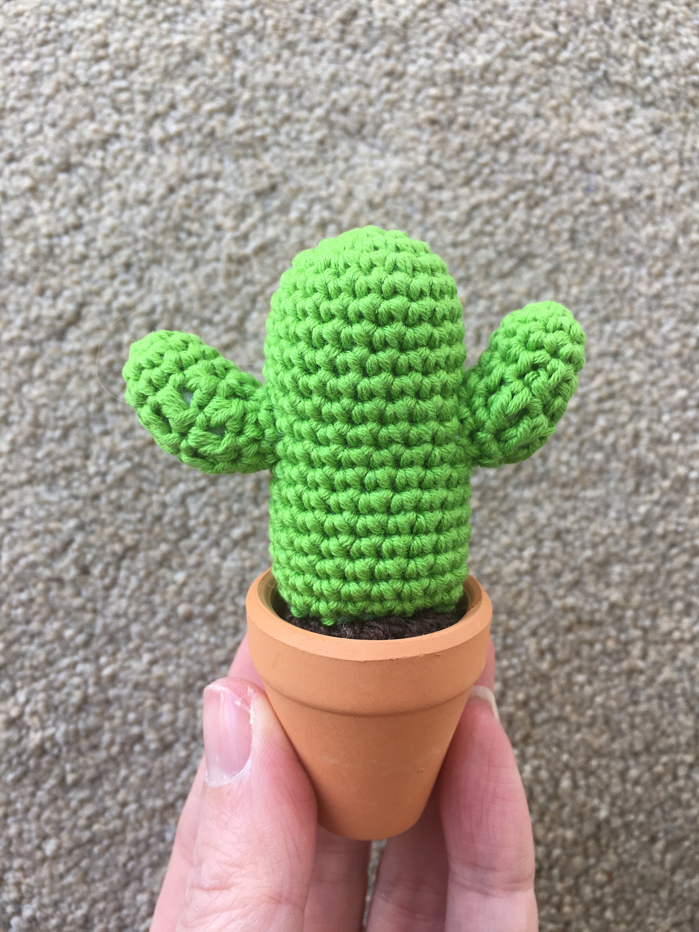 Mini Cacti Pair 2 Crochet Pattern | Etsy