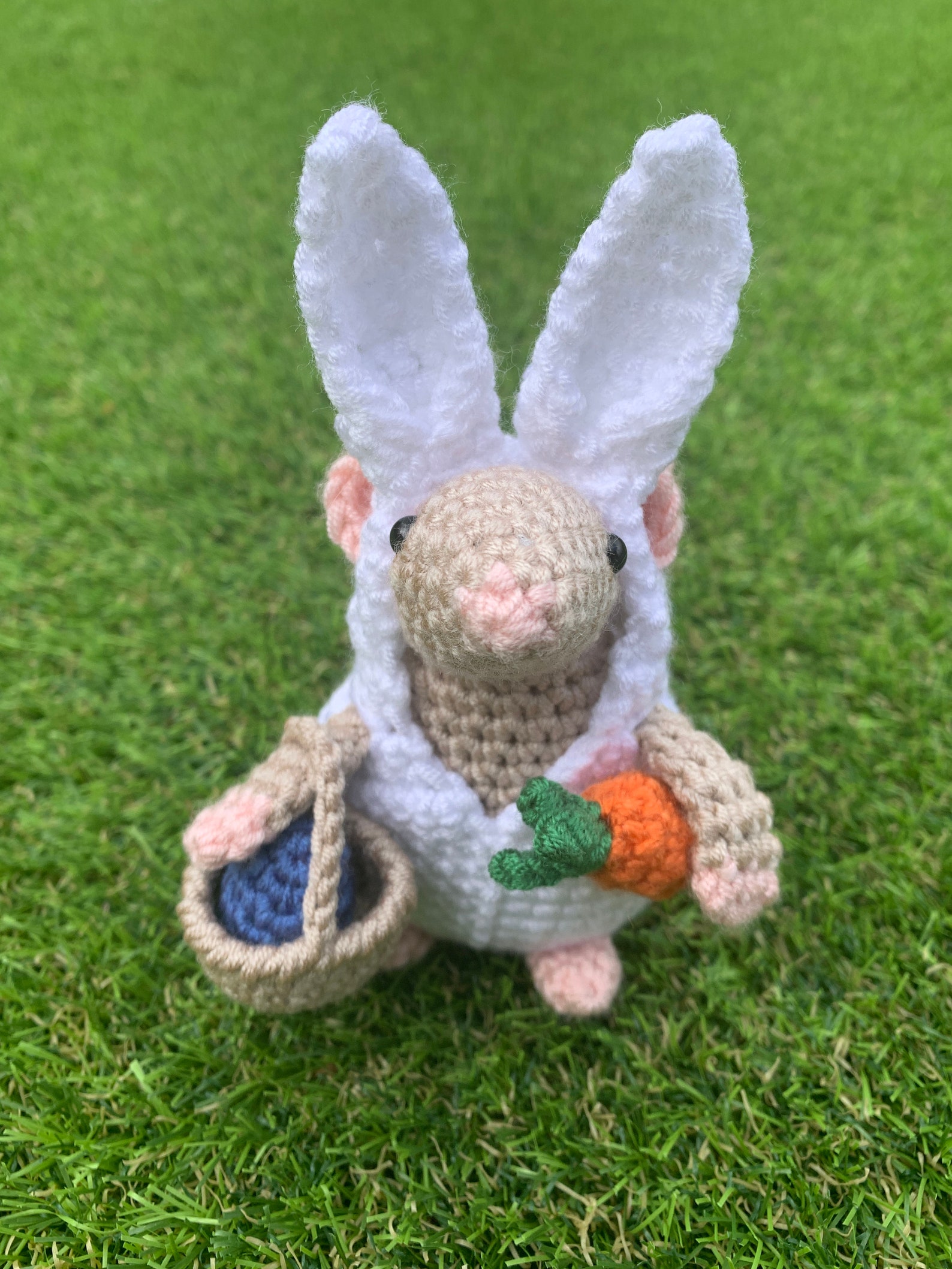 Celebration Mousefits Graduation Easter Bunny & Leprechaun - Etsy UK