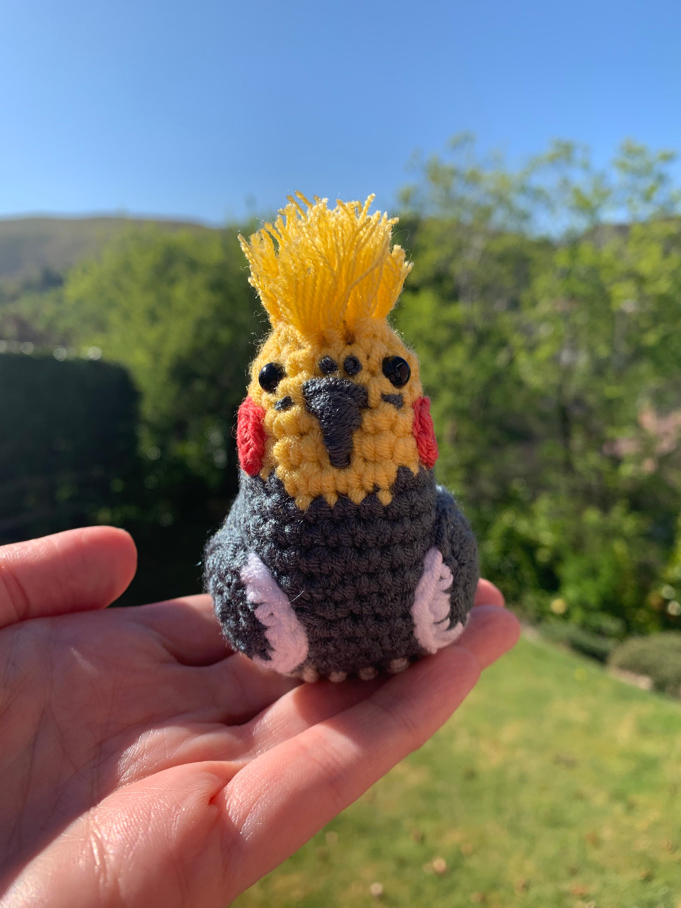 Cockatiel Crochet Pattern | Etsy UK
