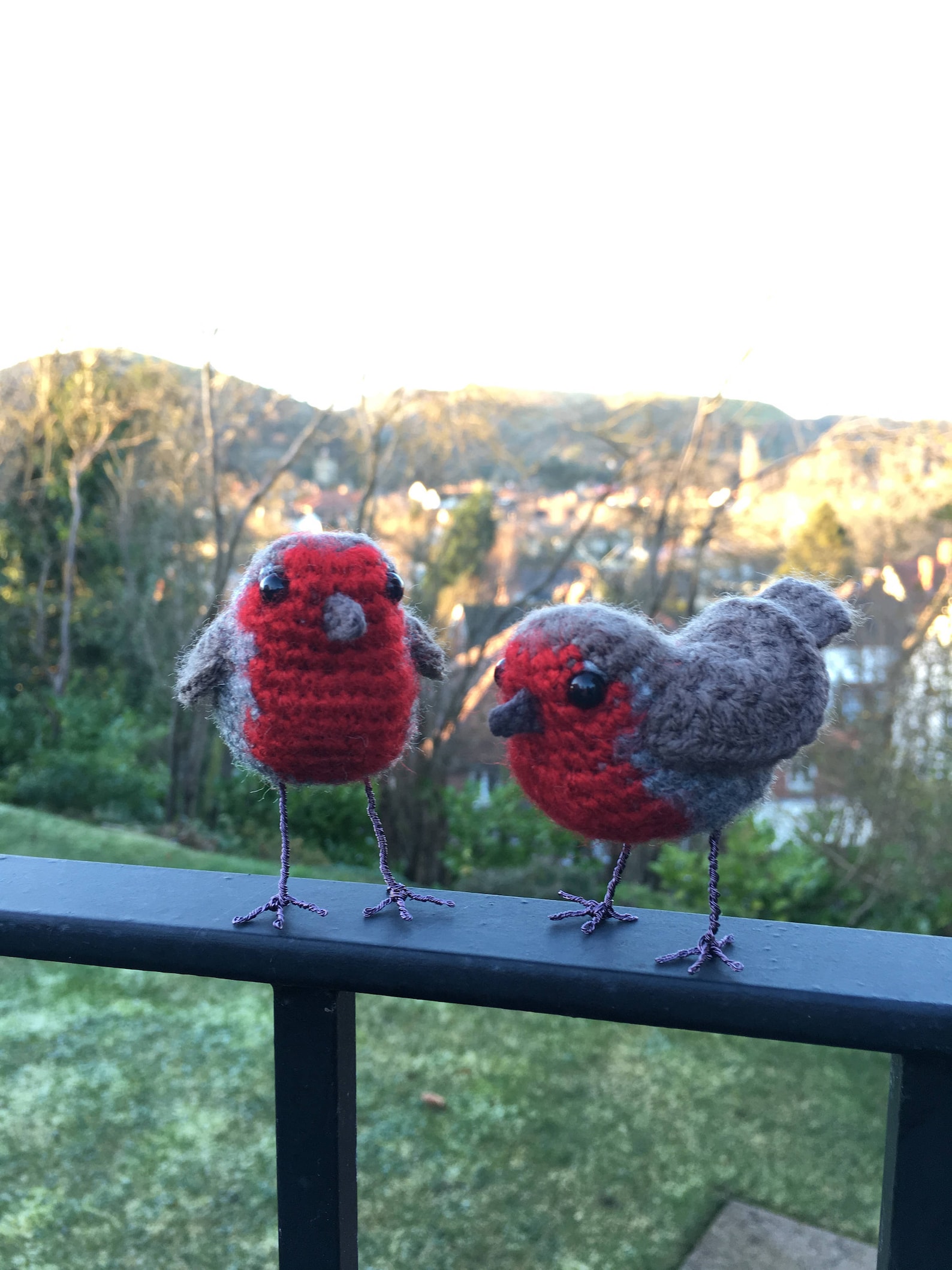 Lifelike Robin Crochet Pattern - Etsy