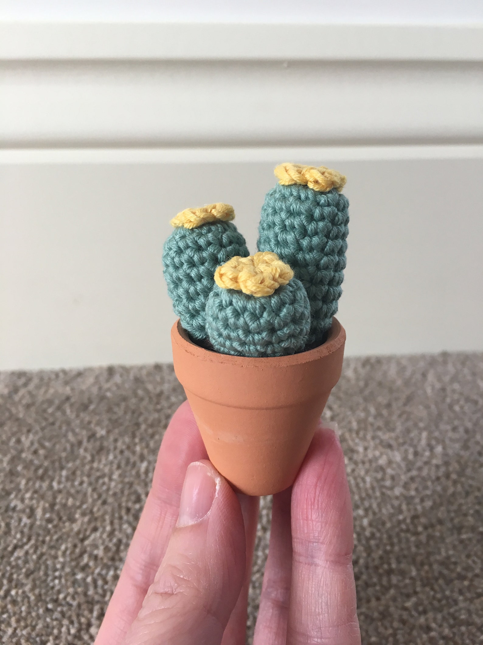 Mini Cacti Pair 3 Crochet Pattern | Etsy UK