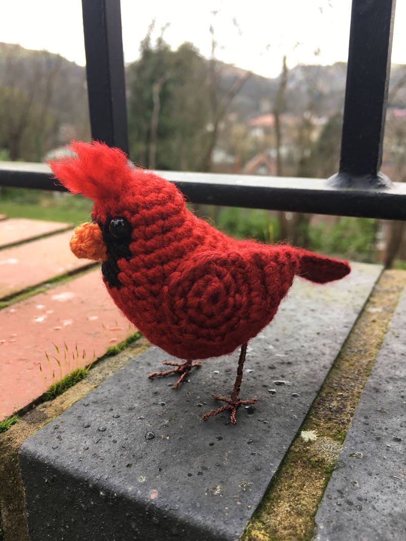 Lifelike Cardinal Bird Crochet Pattern | Etsy Canada