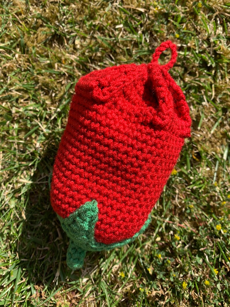 Bee Pocket Pal Crochet Pattern - Etsy Canada