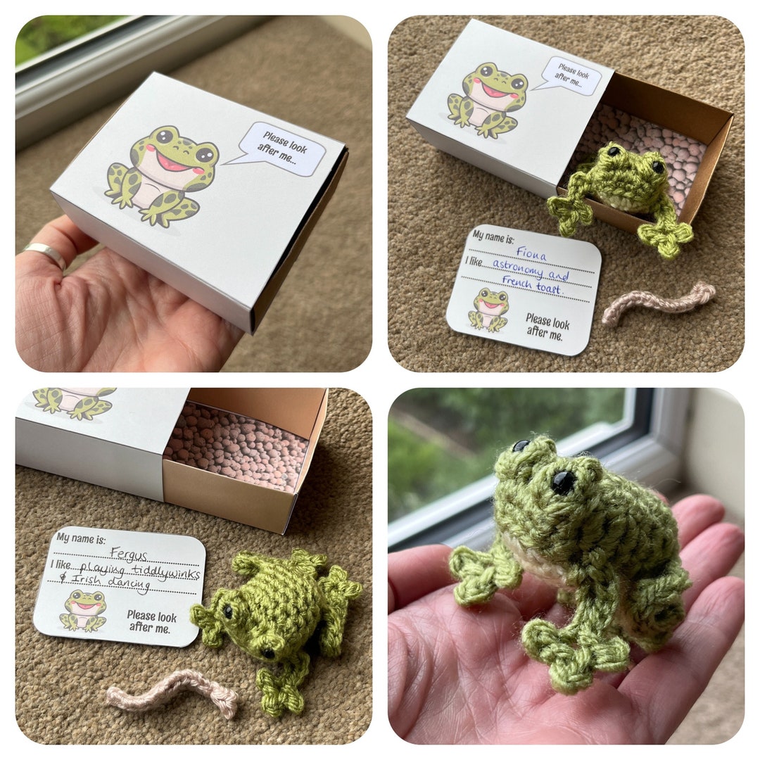 No-sew Matchbox Pet Frog Crochet Pattern, With Printable Box & Name ...