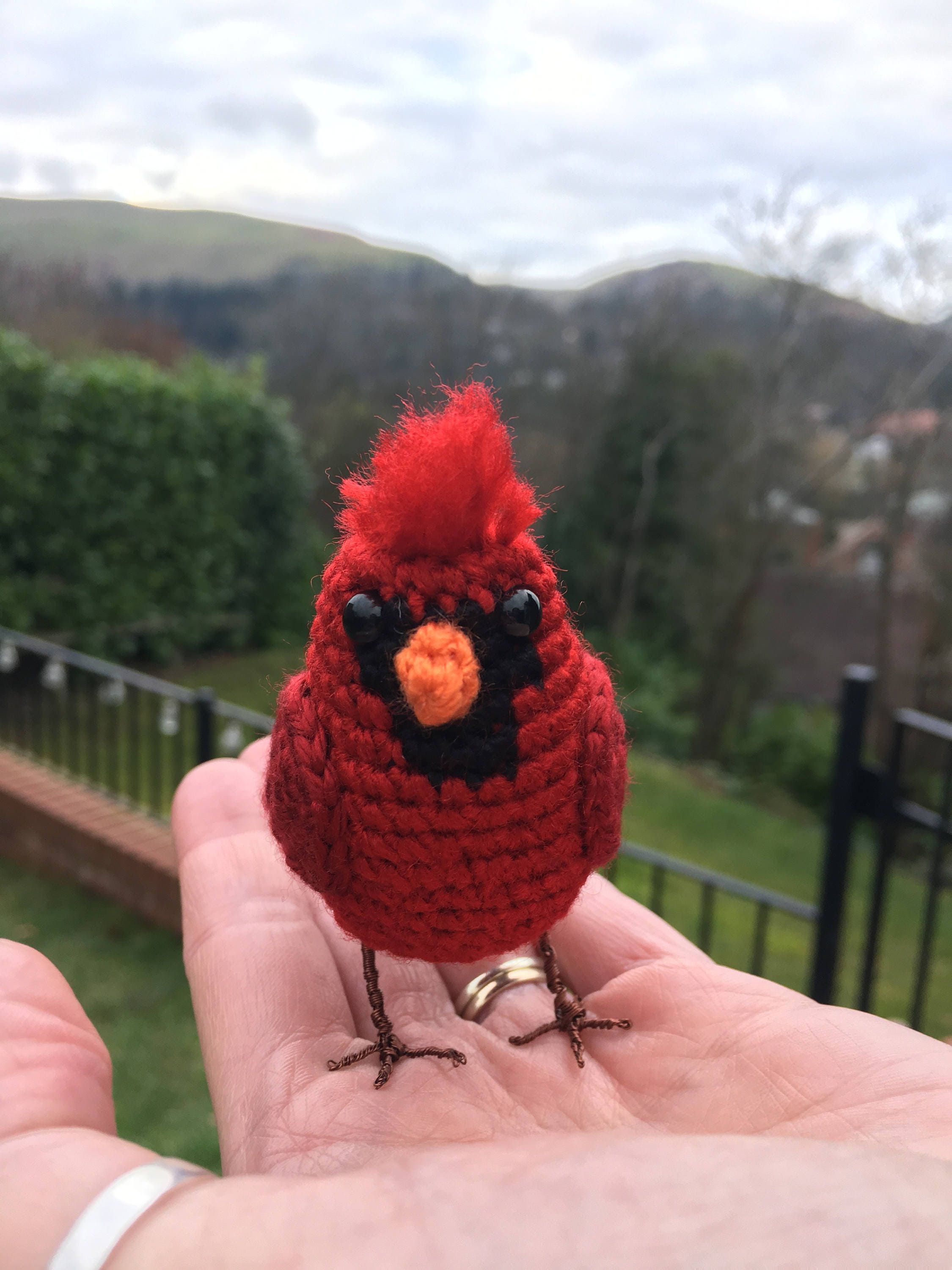 Lifelike Cardinal Bird Crochet Pattern - Etsy Canada