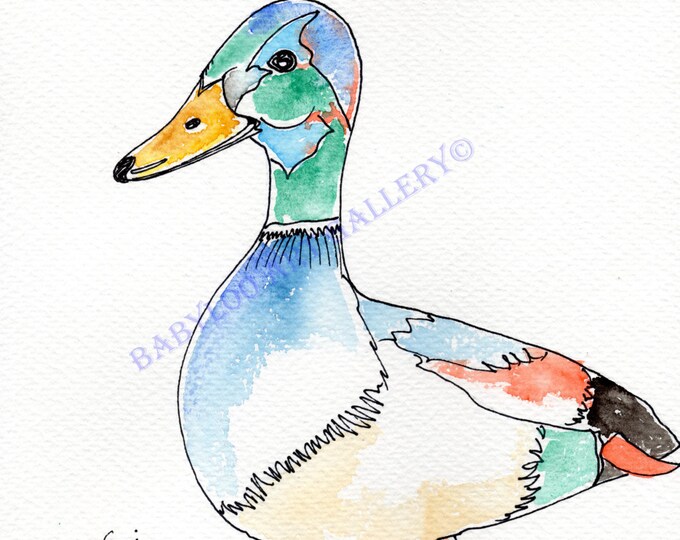 Duck - Ink Drawing - Etsy UK