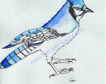 Blue Jay, Ink Drawing - Etsy