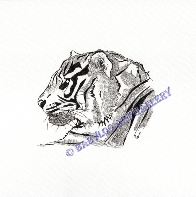 Tiger - Ink Drawing - Etsy