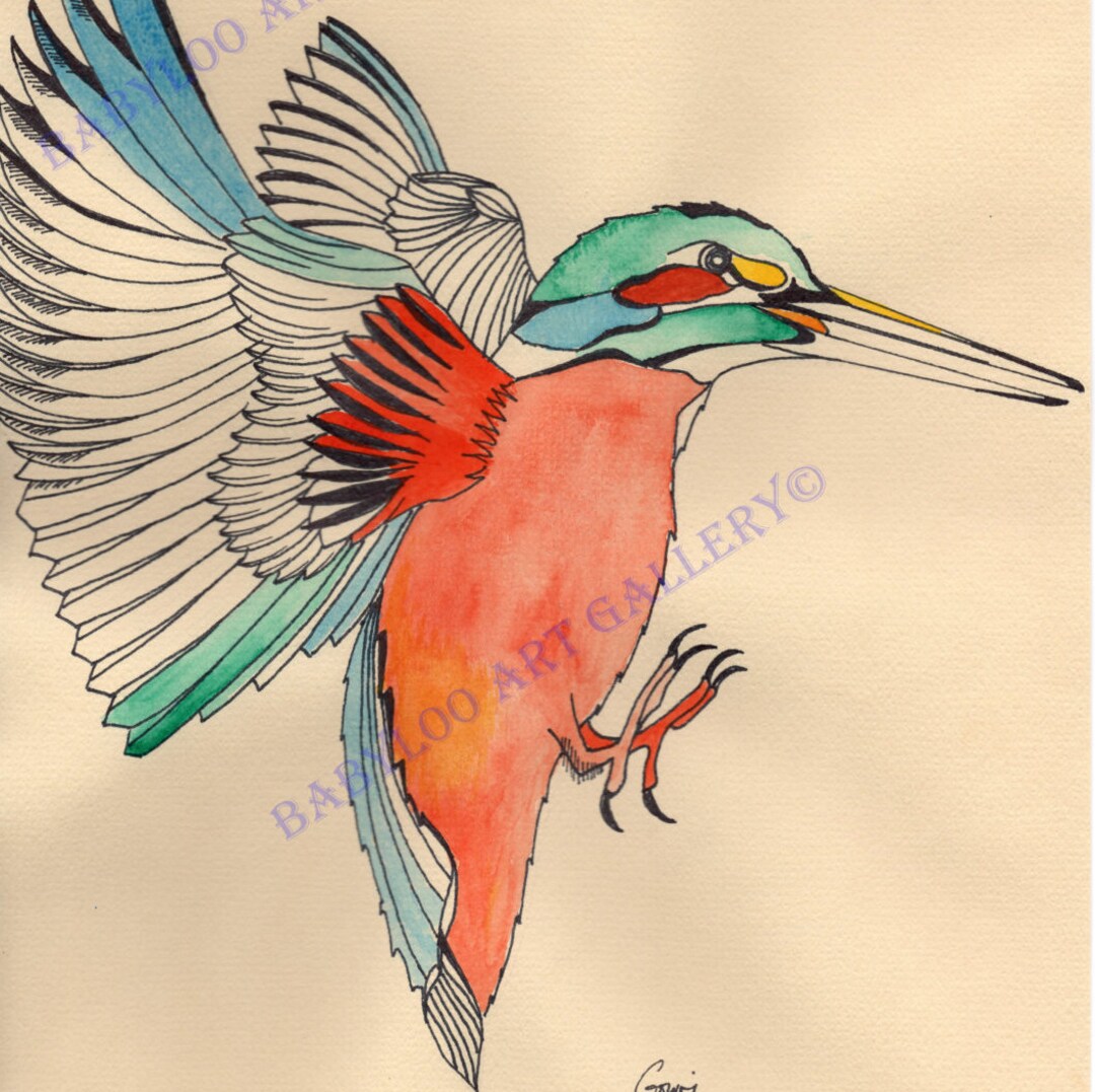 Kingfisher - Ink Drawing - Etsy