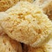 Large All Natural Dead Sea Sponge - Etsy