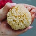 Large All Natural Dead Sea Sponge - Etsy
