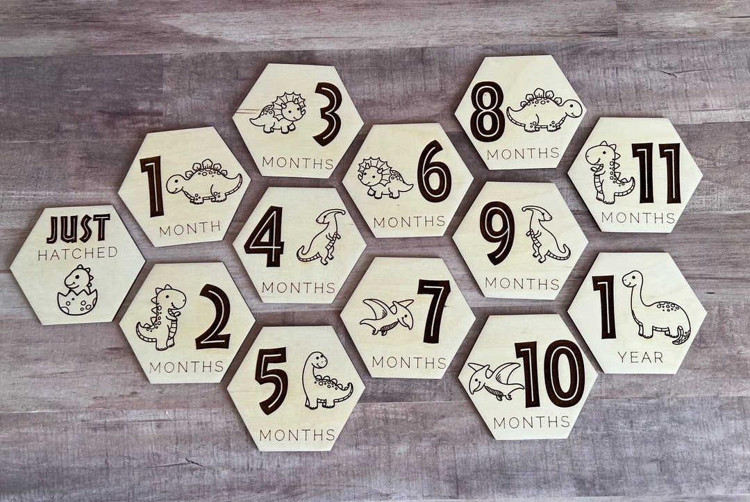 Dinosaur Baby Milestones Disc, Photo Prop, Monthly Birthday, Dinosaur ...