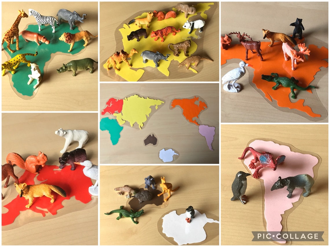 Montessori 33 Animals of the World / 3 Part Cards 99 Cards | Etsy