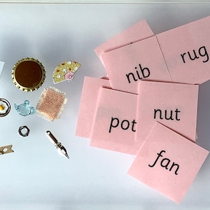 Montessori Pink Box Objects & Cards CVC Words Phonics Home | Etsy