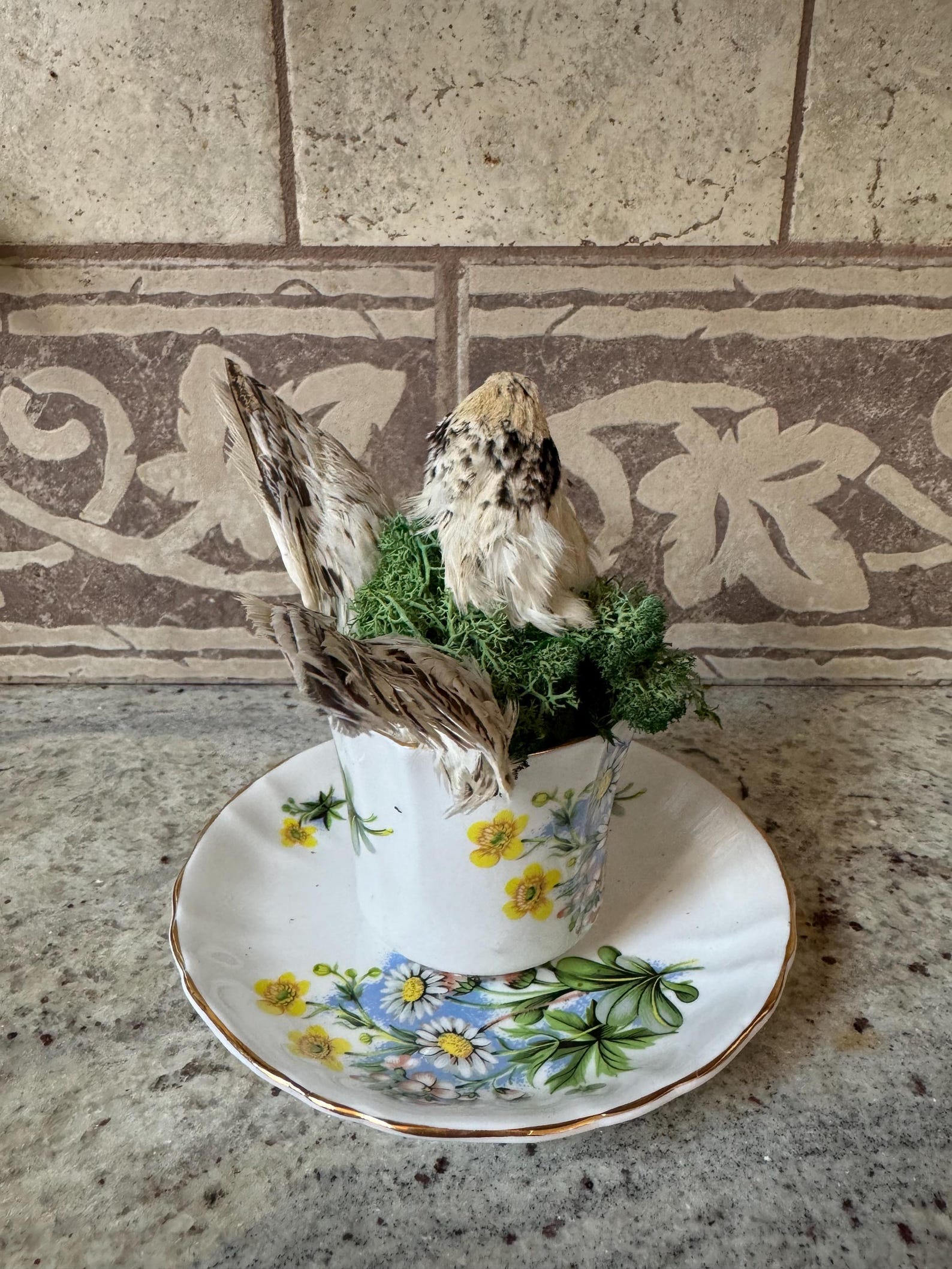 Quail Taxidermy Teacup and Saucer - Etsy