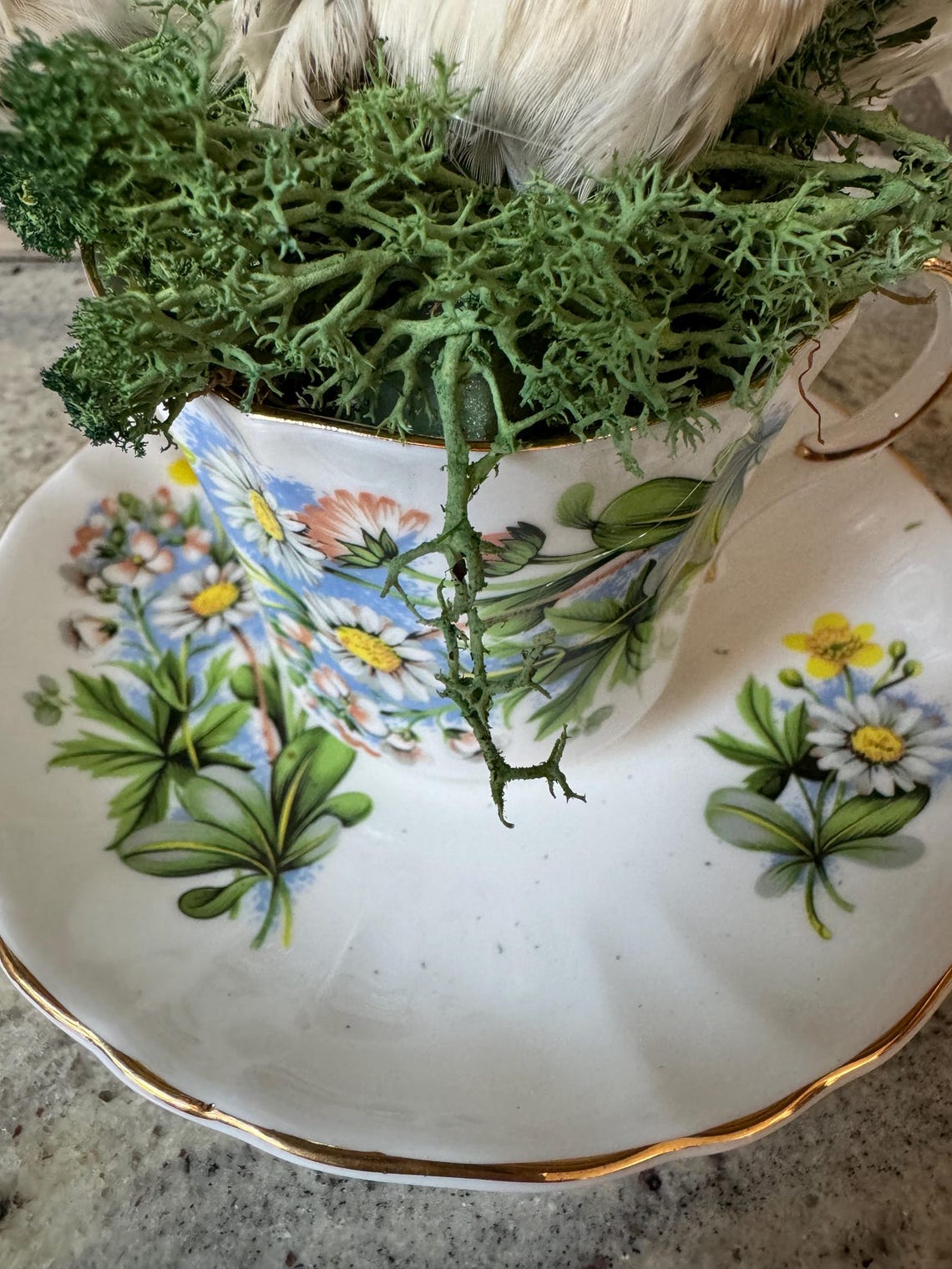 Quail Taxidermy Teacup and Saucer - Etsy