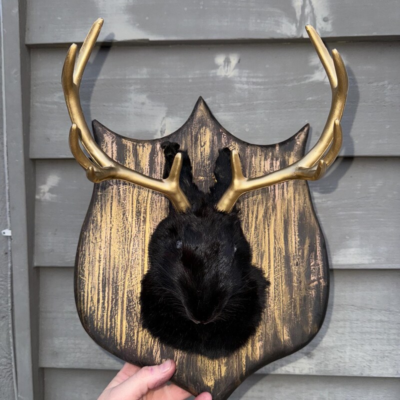 Jackalope Mount - Etsy