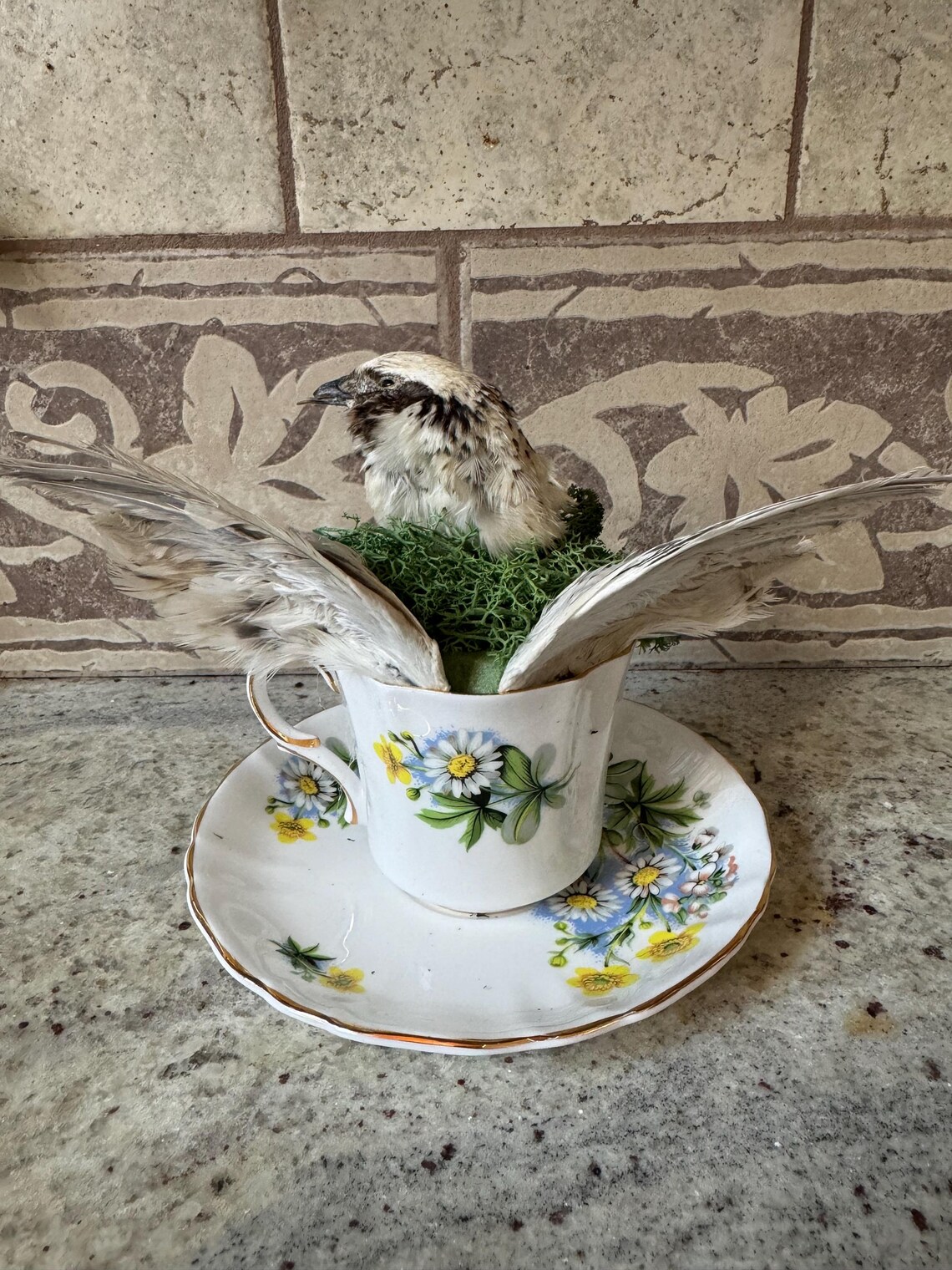 Quail Taxidermy Teacup and Saucer - Etsy