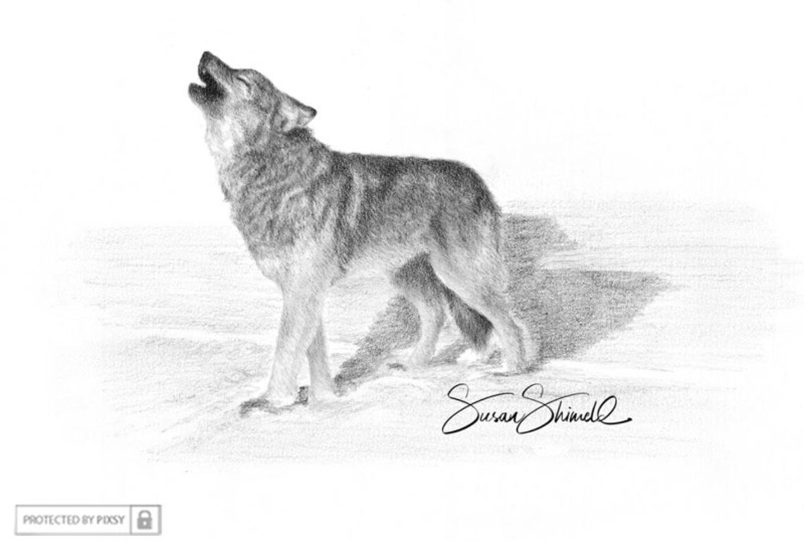 HOWLING WOLF Fine Art Print by UK Award Winning Artist Susan - Etsy