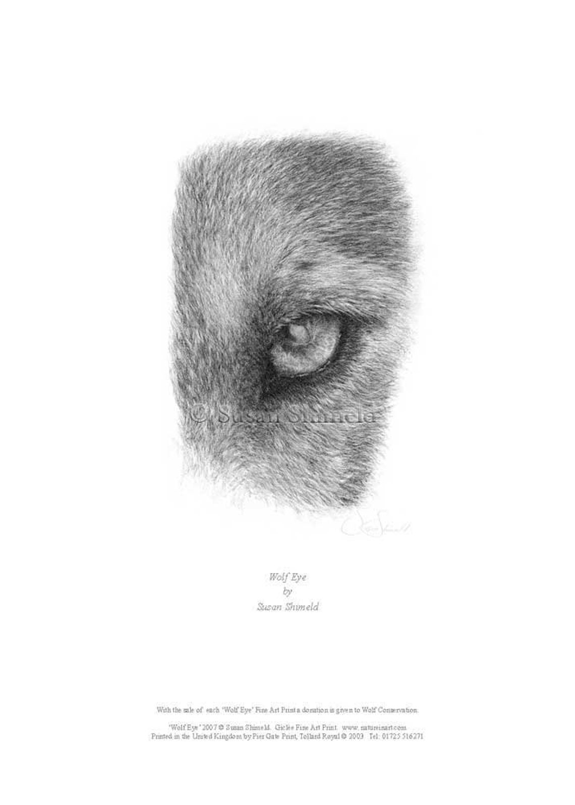 WOLF EYE Fine Art Print by UK Award Winning Artist Susan Shimeld - Etsy