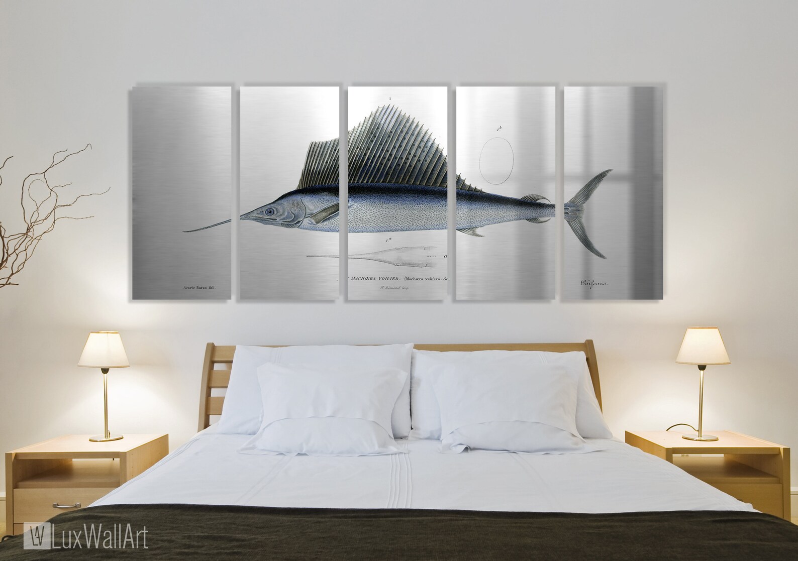 1800s Sailfish Vintage Modern Engraving Wall Art Metal Print | Etsy